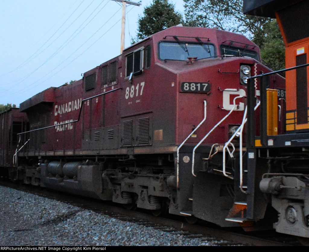 CP 8817